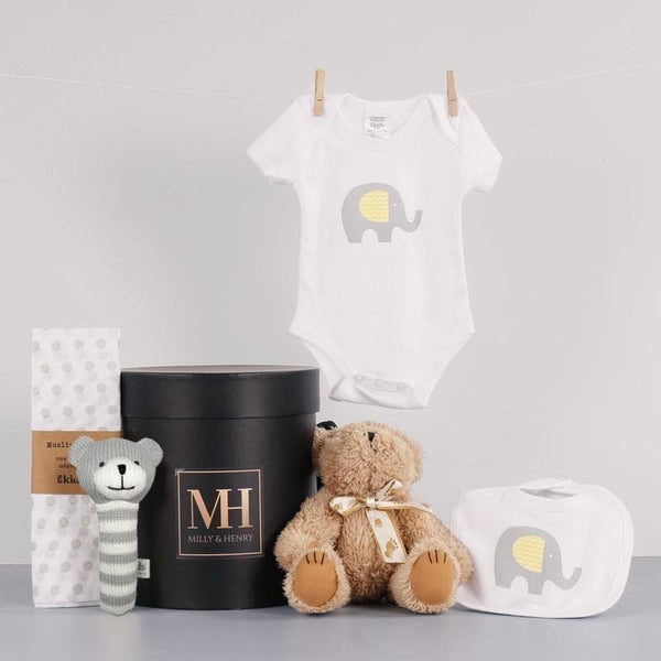 Shop All Baby Gift Hampers - Milly & Henry